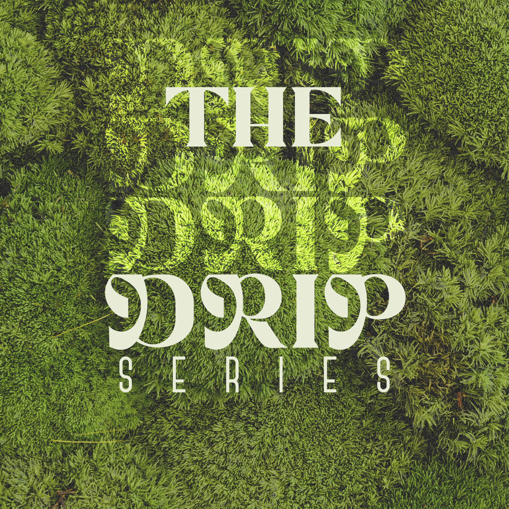 Music - Morgan Quinn Music